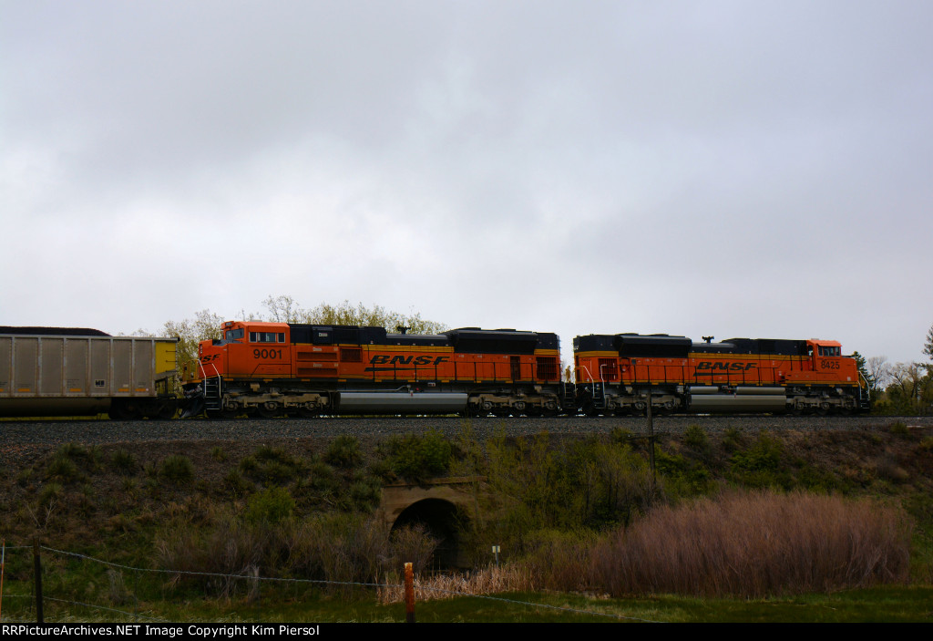 BNSF 9001 Coal Loads